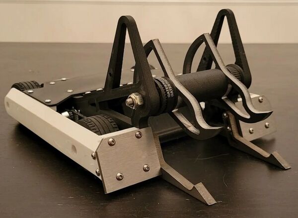 Cobra Chicken - NHRL